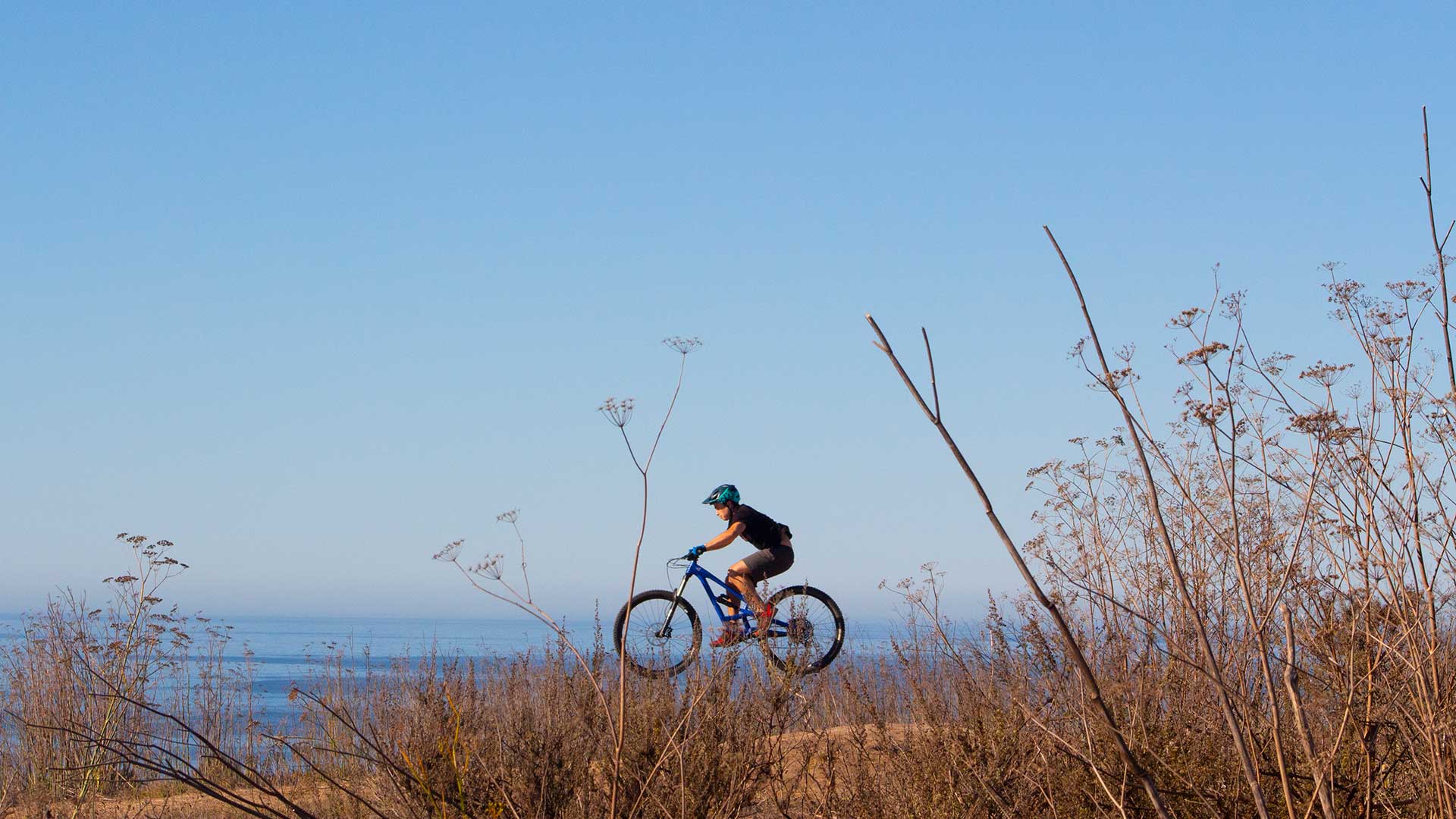 Hike, Run, & Mountain Bike - Elings Park